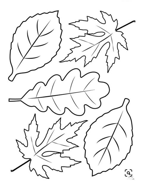 Pin By Theresa Hawes On Drawing Book In 2025 Leaf Template Leaf
