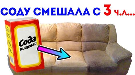 Как правильно и эффективно очистить диван от запаха и пятен мочи ...