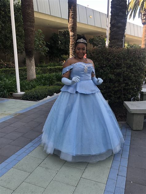 Brandy Cinderella Costume At Abigail Lester Blog