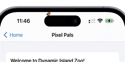 10 iPhone 14 Apps That Use The Dynamic Island