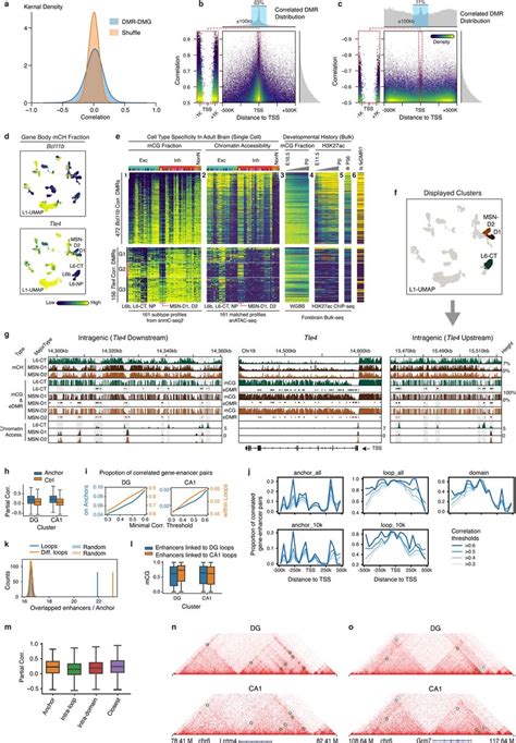 Gene Enhancer Landscape Related A Distribution Of Actual Dmr Dmg Download Scientific Diagram