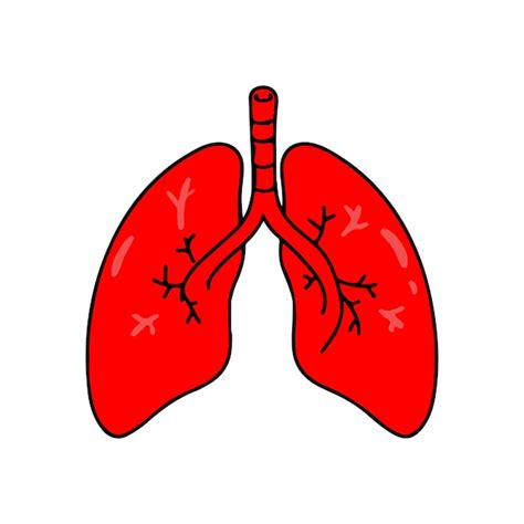 Bronchiolitis Vectors And Illustrations For Free Download Freepik