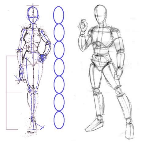 Dibujo LecciÓn 2 Cuerpo Proporciones Teniendo En Cuenta Lo Antes