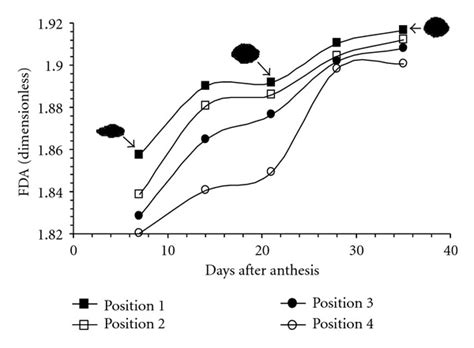 Evolution Of Fractal Dimension Of Area Fda During Grain Filling And