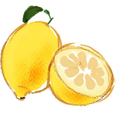柠檬手绘