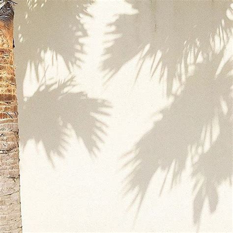 Chenae Sketchley 🌙 Chenaesketchley • Instagram Photos And Videos