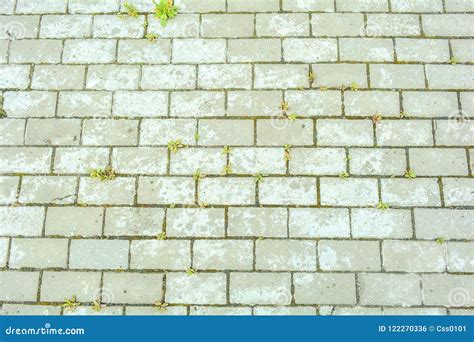Stone Pavement With Grass Texture Top View On Cobblestone Street Stock