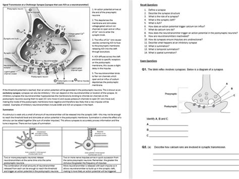 Aqa Biology Paper 2 Revision Booklet Parts 1 2 And 3 Teaching Resources