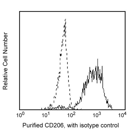 Purified Mouse Anti Human Cd206