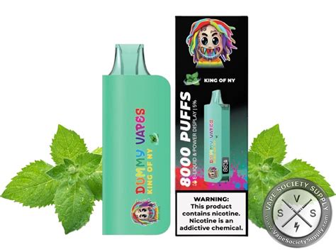 Dummy Vapes Disposable 8000 Puff ⋆ Vape Society Supply