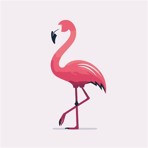 Premium Vector Flamingo Vector Illustration Of A Pink Flamingo On Water