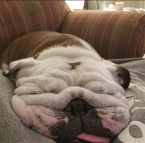 Squishy Marshmallows Raww