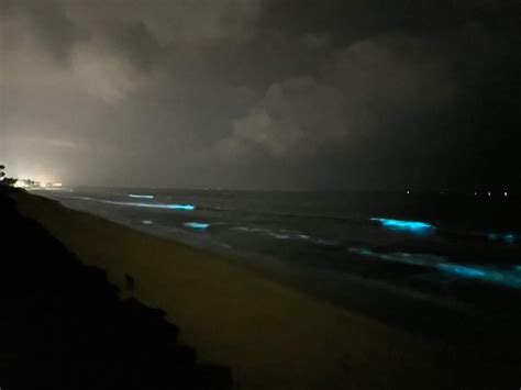 Bioluminescent Algae At Varkala Beach Rkerala