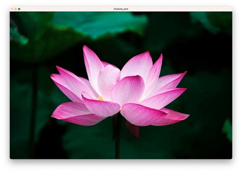 【opencv】画像の読み込みとグレースケール化、画像の保存 Python 3pysci