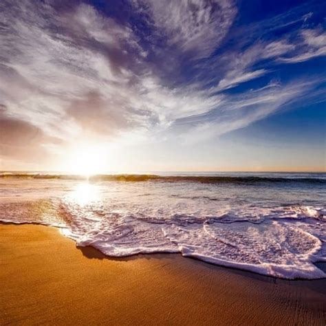 Michelle Day Youtube