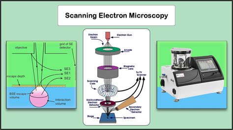 Scanning Electron Microscope Principle