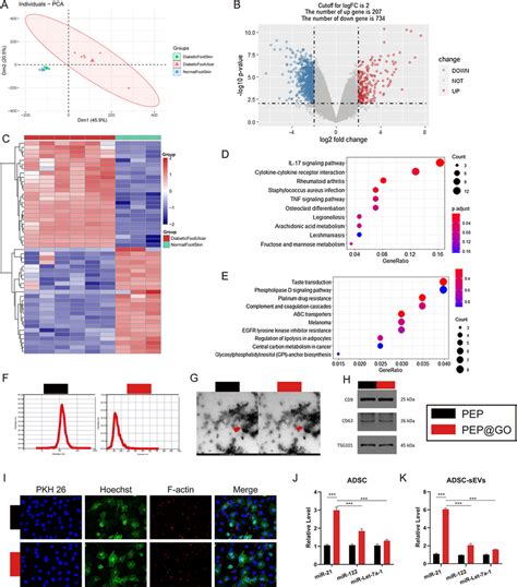Bioinformatics Analysis Of Expression Profiling By High Throughput