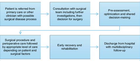 1 Patient Pathway For Elective Surgery Source Authors Compilation