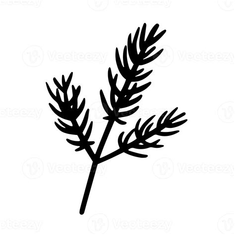 Pine Leaf Hand Drawn Illustration 15153028 Png