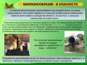 Разнообразие биологических видов биология Я Биолог