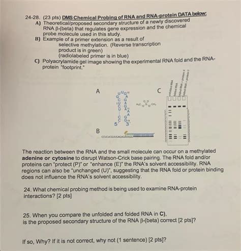 Solved Pts DMS Chemical Probing Of RNA And Chegg