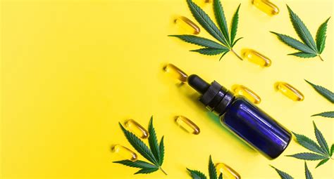 Guide To Ak 47 Cbd Flower Strain The Cbd Flower Shop