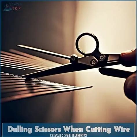 Can Scissors Cut A Wire Heres What To Know