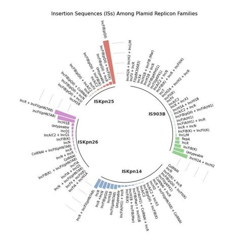 Insertion Sequences Iss Stratification Among Plasmid Replicon