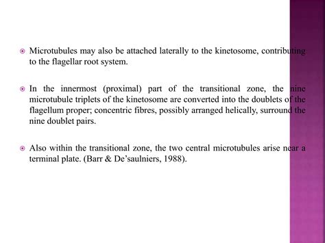 Ultrastructure Of Flagella Pptx