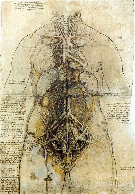 Leonardo Da Vinci Politics Lifestyle Sikh Sangat
