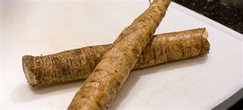 Is Burdock Root Safe While Breastfeeding