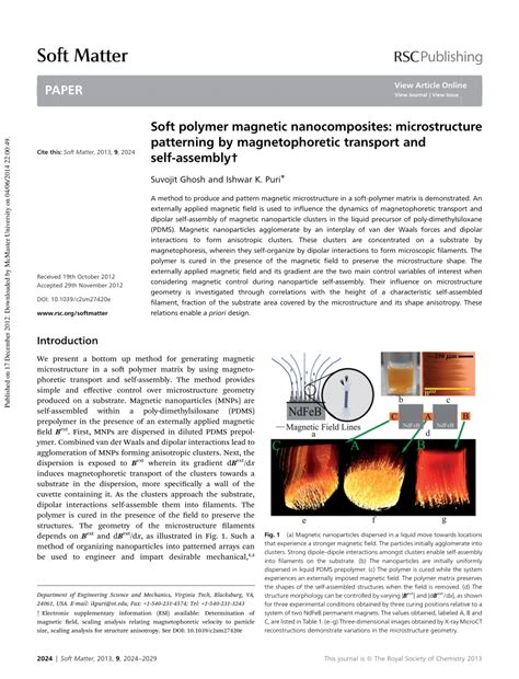 pdf soft polymer magnetic nanocomposites microstructure patterning