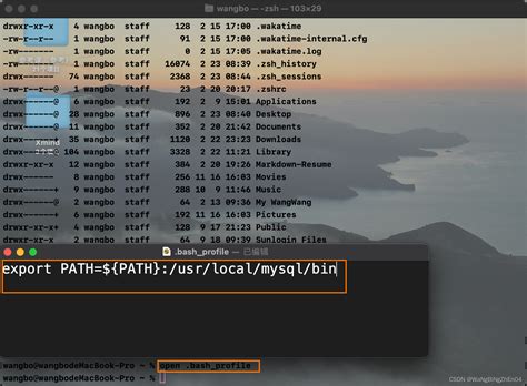 macos安装mysql后如何在终端配置环境变量 mac 配置mysql8环境变量 csdn博客
