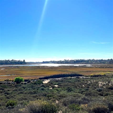 Upper Newport Bay Nature Preserve Enjoy Oc