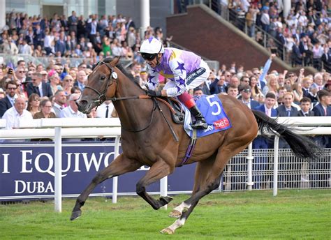 Kingmans Kinross Prevails In The City Of York