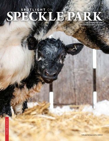 Spotlight On Speckle Park Spring 2026 By Canadian Speckle Park