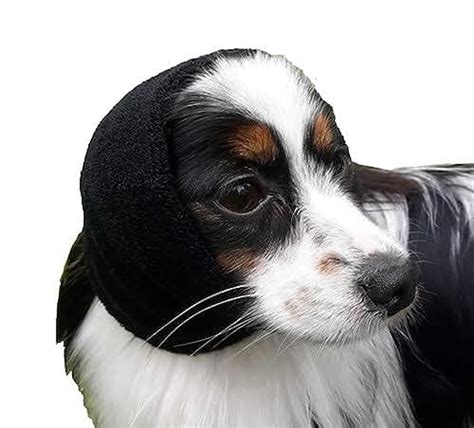 Thundershirt For Cats The 15 Best Products Compared Wild Explained