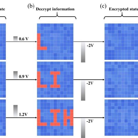 Figure S4 A The Image On The Encrypted State B Diverse Images Can Download Scientific