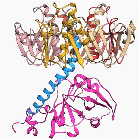 Cholera Toxin Molecule Photograph By Laguna Designscience Photo