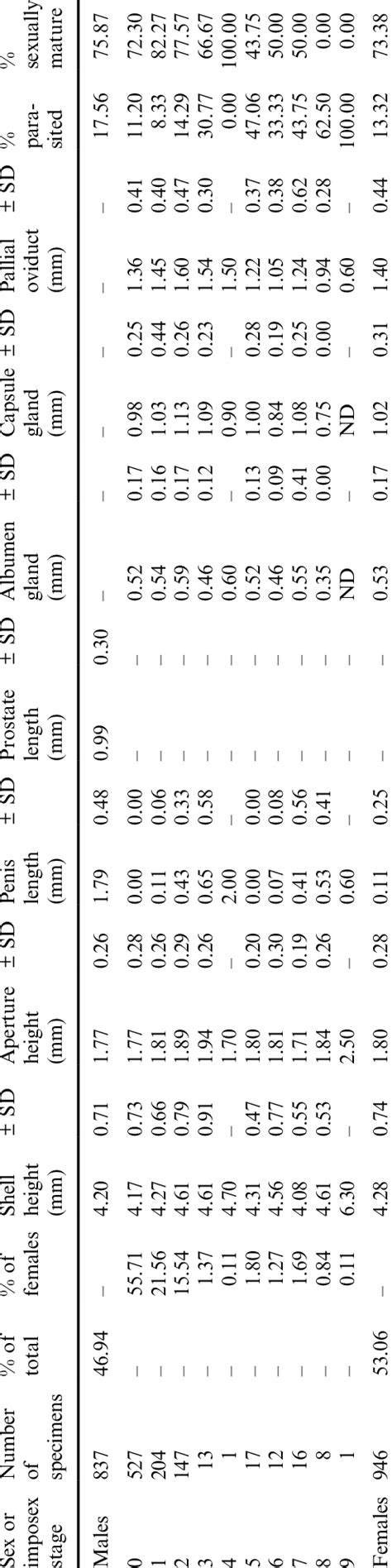 Hydrobia Ulvae Morphometrical Data Of Males Females And Different
