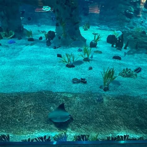 🇨🇭🇳🇬🦋 Meloessence • Threads Say More