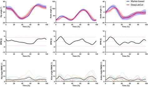 Top Marker‐based Blue And Markerless Motion Capture Deeplabcut Download Scientific Diagram