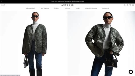 Anine Bing Reviews