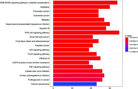 A Go Biological Function Analysis B Kegg Pathway Enrichment Download Scientific Diagram