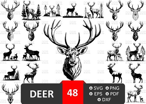 Deer Svg Deer Svg Bundle Deer Cut Files Deer Png Deer Head Svg