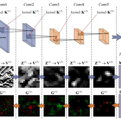 A Typical Convolutional Neural Network Cnn Structure With Feature