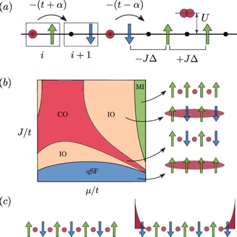 Cold Atom Quantum Simulator A Lattice Structure For The Proposed Download Scientific Diagram