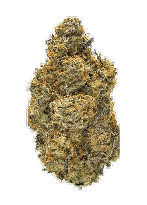 Alien Rock Candy Cannabis Strain Information Growdiaries