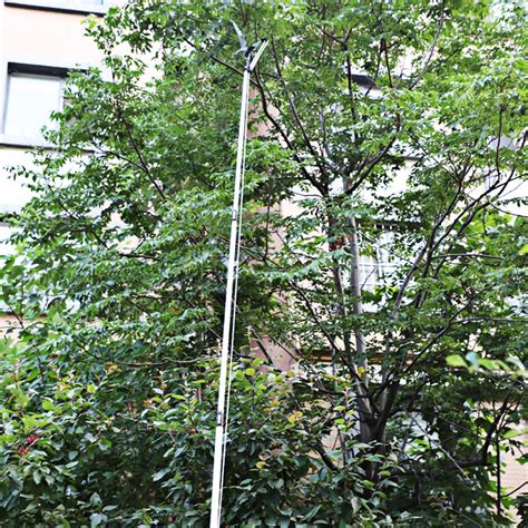 High Altitude Tree Branches Trimmer Extendable Tre Grandado