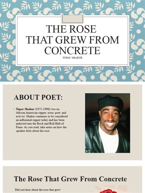 The Rose That Grew From Concrete Pdf Poetry